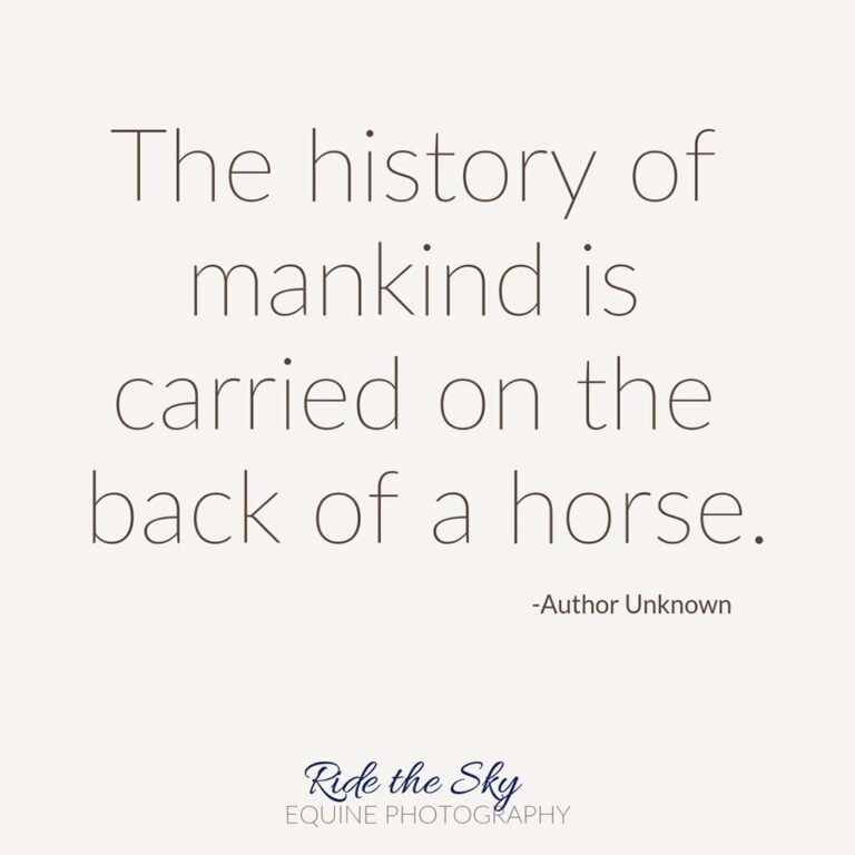 26 Great Horse Quotes - Ride the Sky Equine Photography