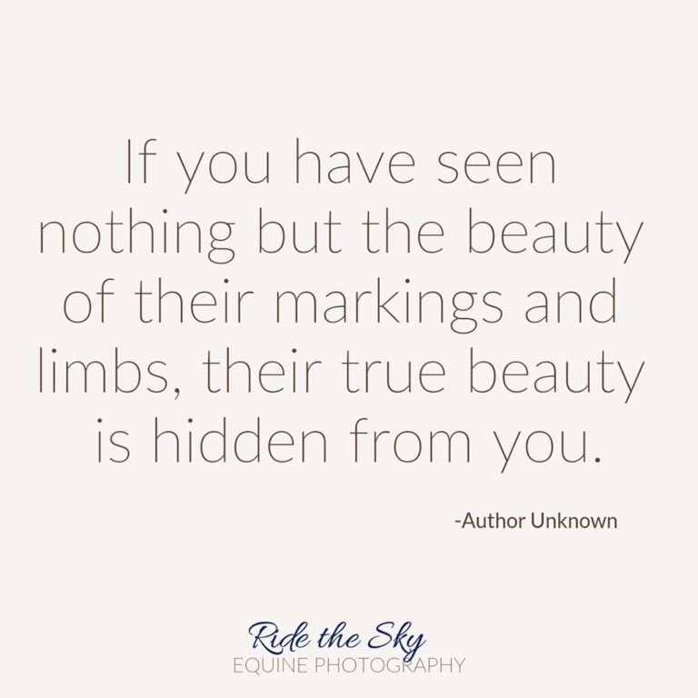 26 Great Horse Quotes - Ride the Sky Equine Photography