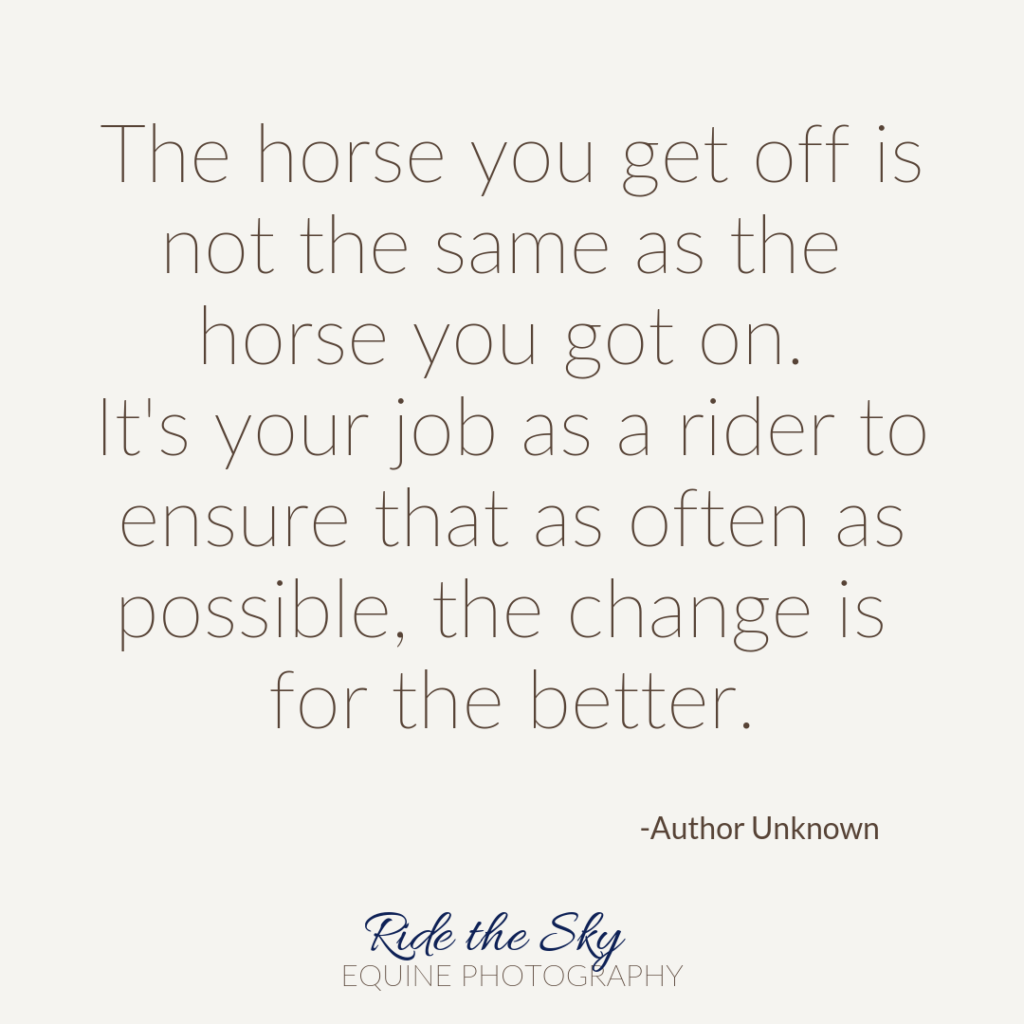 26 Great Horse Quotes - Ride the Sky Equine Photography