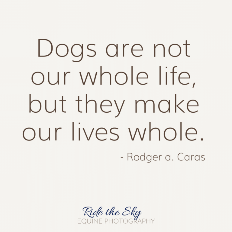 26 Amazing Dog Quotes - Ride the Sky Equine Photography